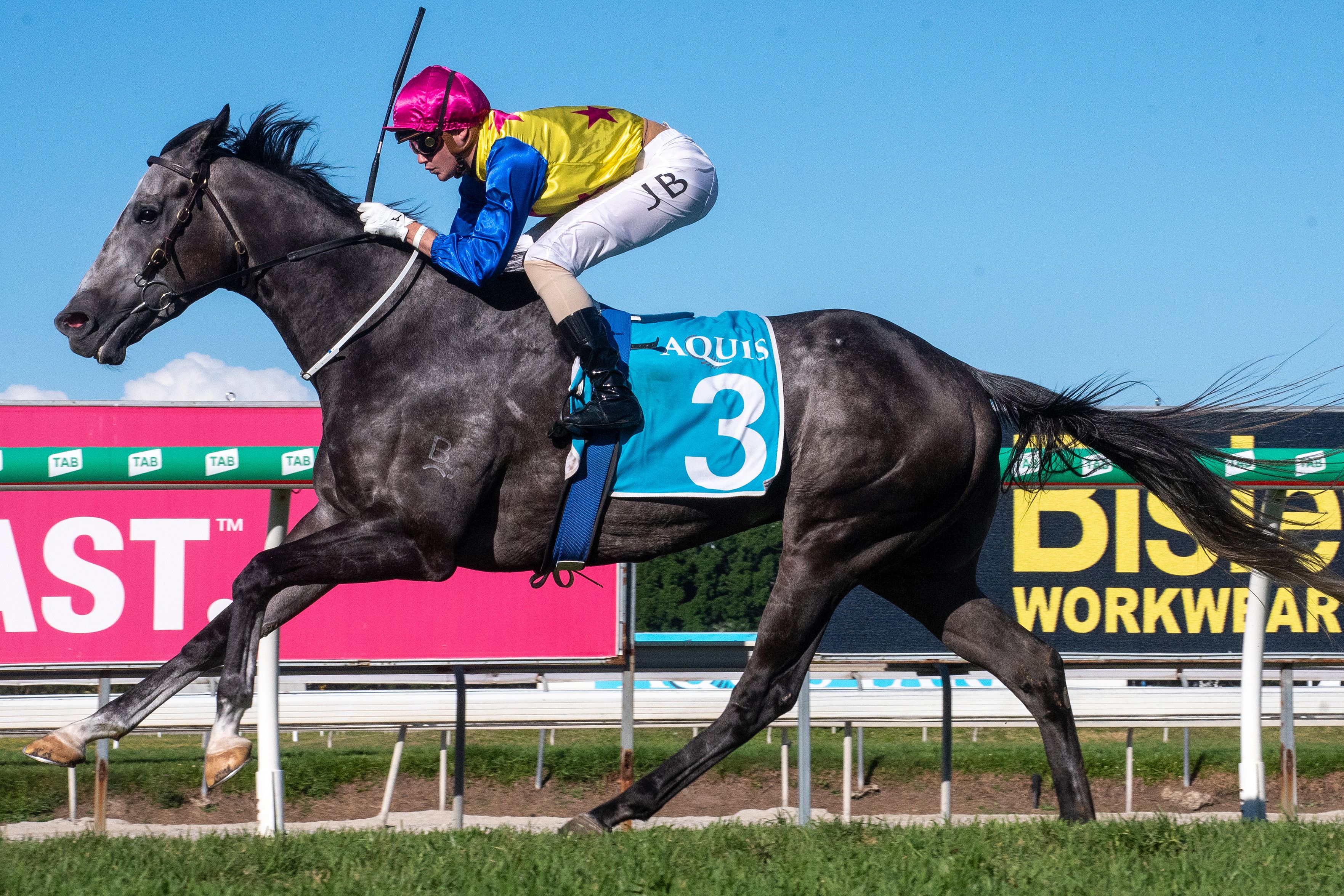 Stewards Report :: Racing Queensland