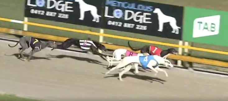 Homepage :: Racing Queensland