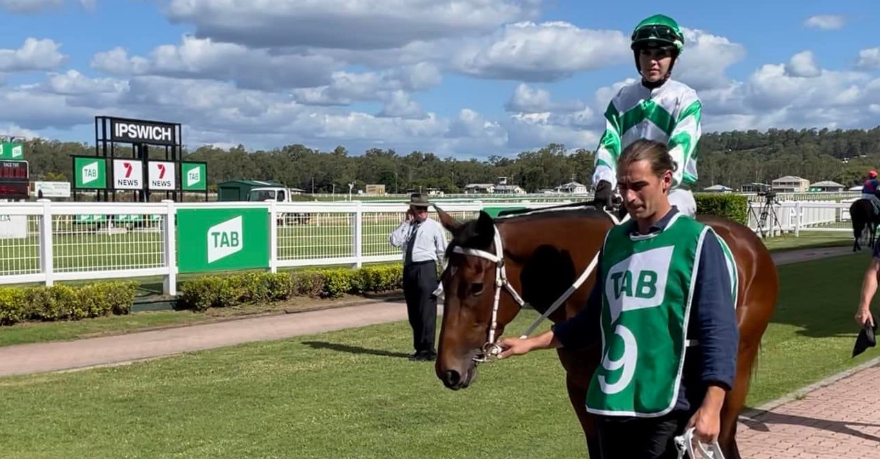 Greyhound TAB 431m Tue 22 Aug 2023 :: Racing Queensland